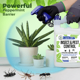 Mighty Mint Pest Control Spray (128 oz) for Spiders, Ants, Roaches ...