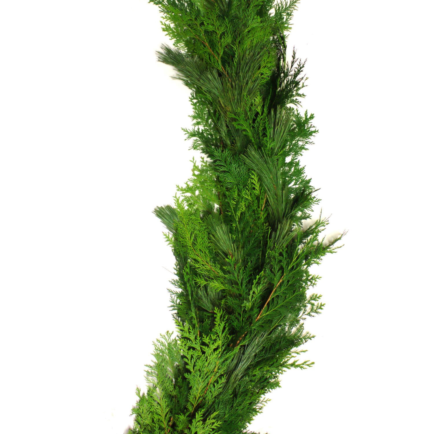 Member's Mark Garland, Mixed Pine and Cedar 25 ft. - Samsclub.com