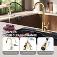 Brushed Gold Kitchen Faucet with Pull Down Sprayer, High Arc Single ...