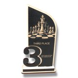 Trophy Award - CUSTOM - Chess - 1st 2nd 3rd Place - 9x5 Inches ...