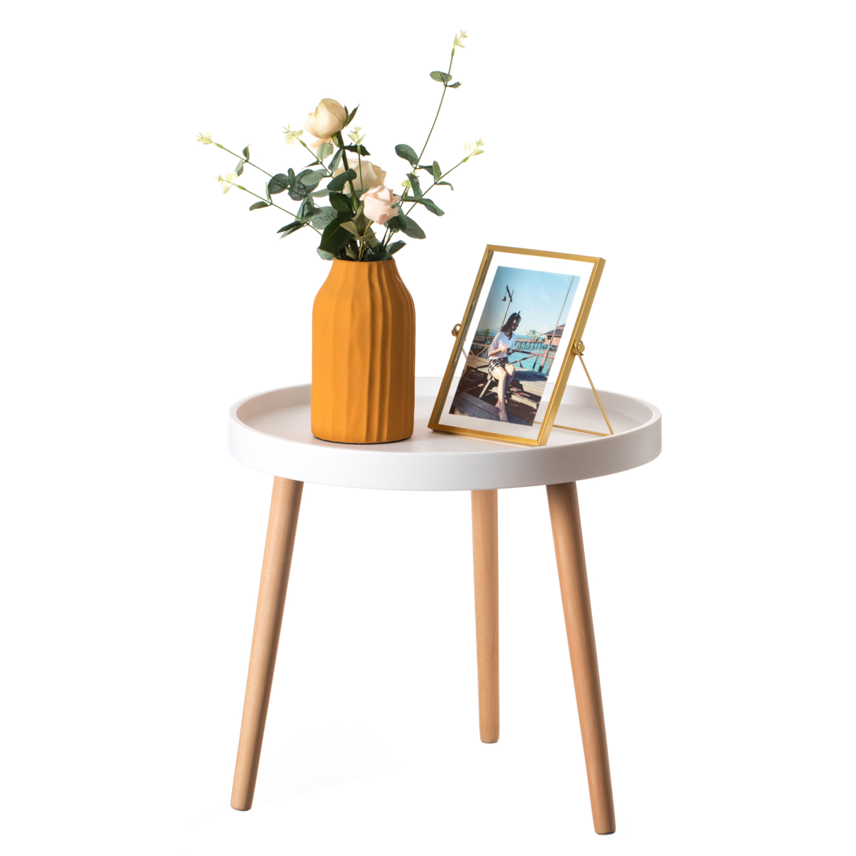 Modern Plastic Round Side Table Accent Coffee Table with Beech Wood ...