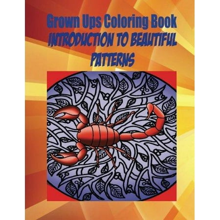 Grown Ups Coloring Book Introduction to Beautiful Patterns | Walmart Canada