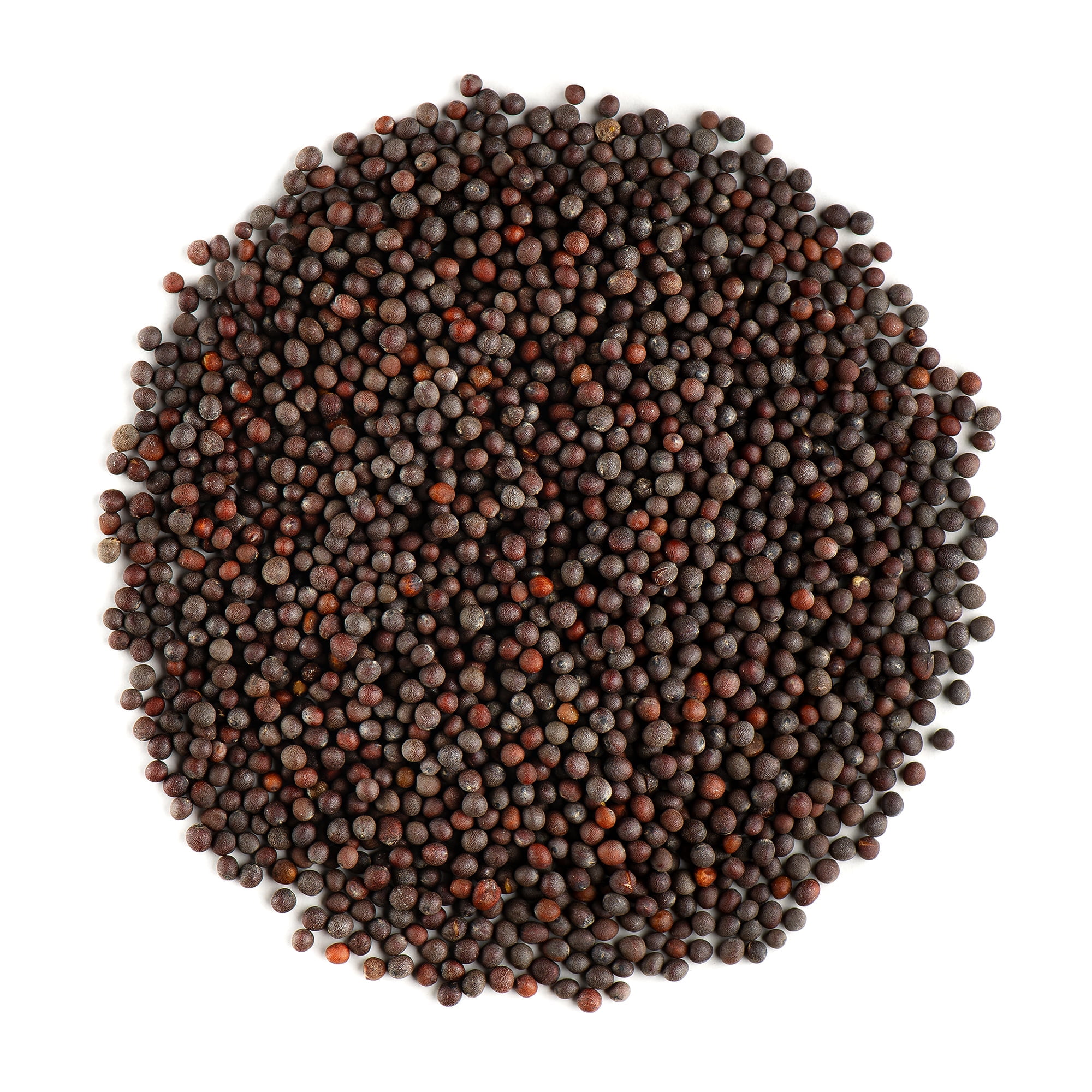 Black Mustard Tree