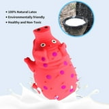 Kiddopark Squeaky Pig Dog Toys, 2 Pack Soft Rubber Chew Toys ...