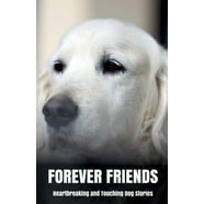 Little Red Fox Has Feelings: A Book about Exploring Emotions ...