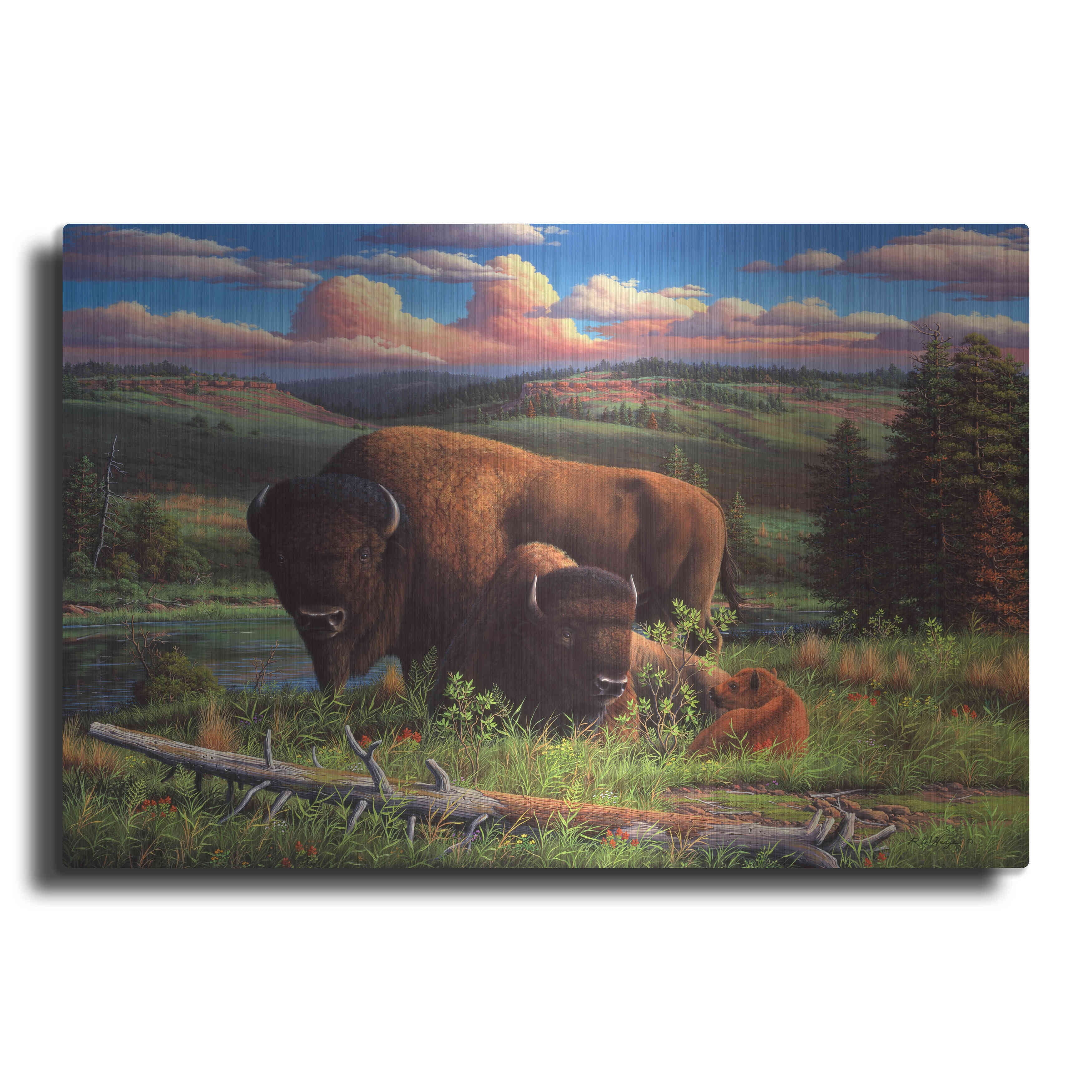 Luxe Metal Art 'Buffalo Nation' by R. Hed, Metal Wall Art, 24"x16 ...