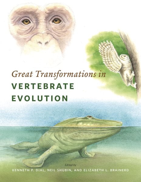 Pre-Owned Great Transformations in Vertebrate Evolution - Walmart.com