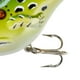 Rebel Pop'N Frog Topwater Leopard Frog 1 7/8" 3/16 oz. - Walmart.com