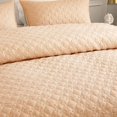 Whale Flotilla Quilt Set Queen Size Soft Microfiber Lightweight