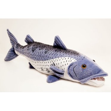 Redfish - 10 inch Cabin Critters Stuffed Animal - Saltwater Fish ...