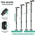 Adjustable Walking Cane for Men and Women: Lightweight, 10 Level Height ...