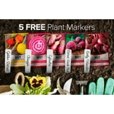 Beet Seeds For Planting | 5 Variety Pack - Walmart.com