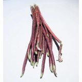 100 Seeds RED RIPPER COWPEA Cow Pea Southern Pea Vigna Unguiculata ...