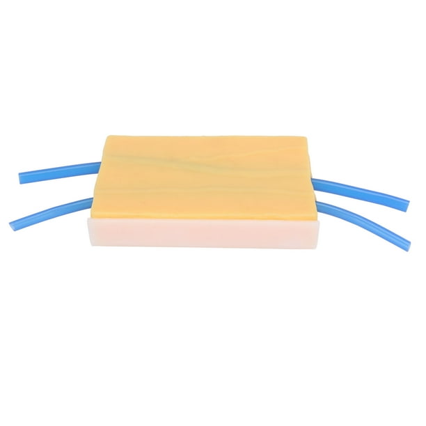 Injection Training Pad Model,Venipuncture Injection Training Pad ...