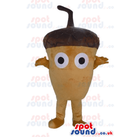 Acorn with big eyes - your SPOTSOUND Mascot in a box ! - Mascots ...