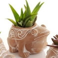 Mini Terracotta Fish Frog Turtle Pot Set - Walmart.com