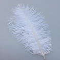 10pcs Ostrich Feathers,Ostrich Plume,Wedding centerpieces Feathers ...