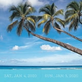 2020 Tropical Beaches Daily Desktop Calendar - Walmart.com