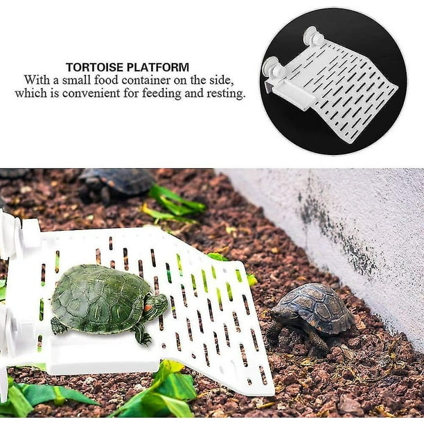 Aquarium Tortoise Platform Turtle Dock Reptile Habitat Floating Island ...