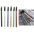 Irish Whistle Flute 6 Hole Flute C/D Key Irish Whistle Tin Penny ...