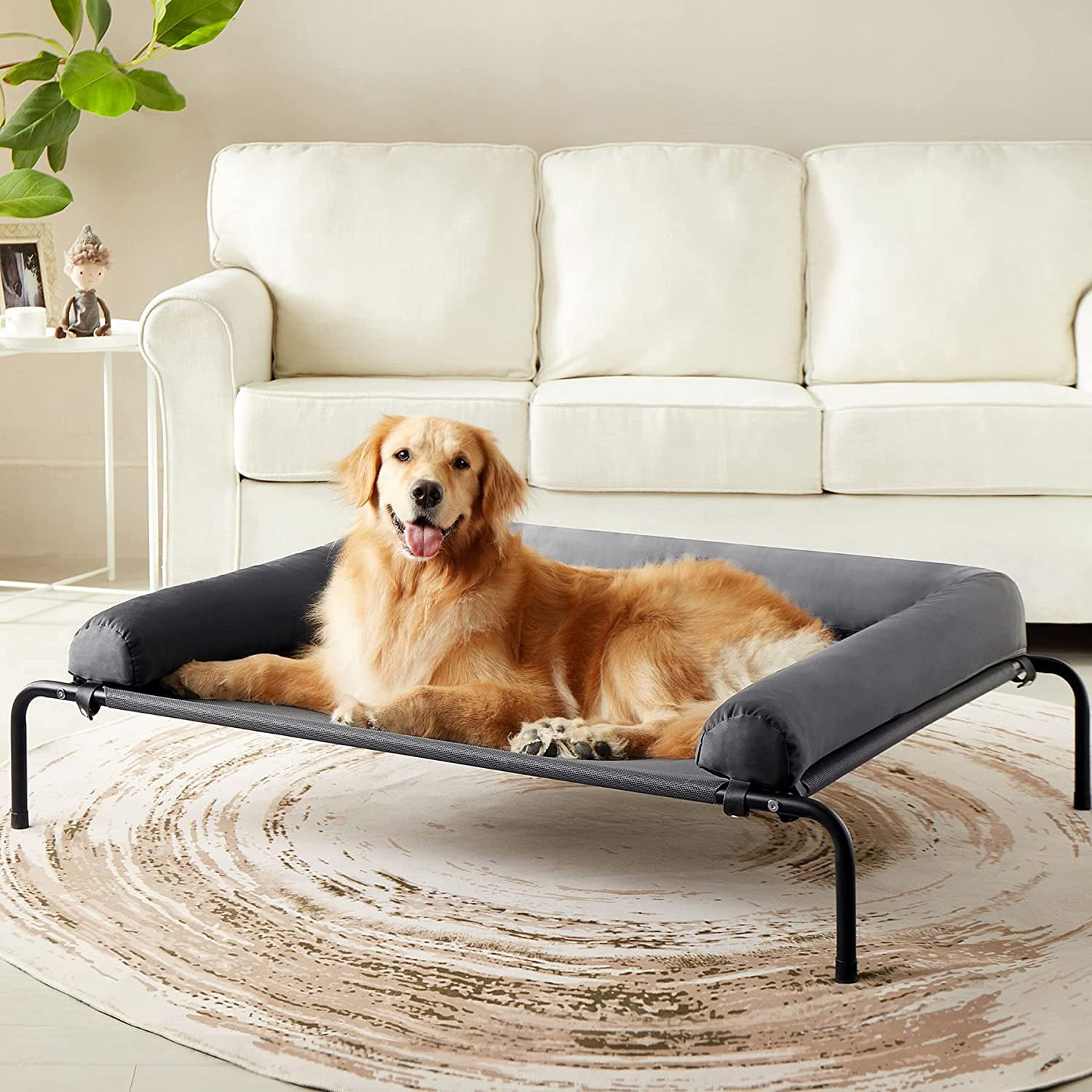 How Do You Keep A Dog On Bed Rest