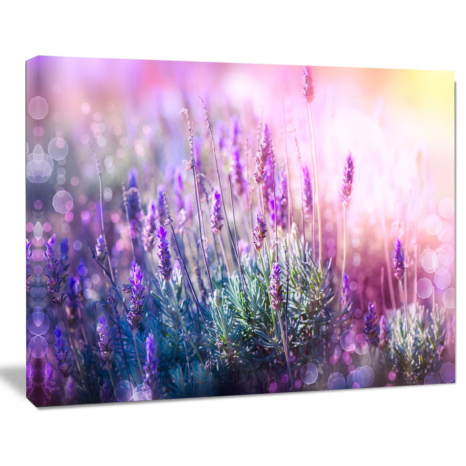 Click here for Designart Design Art Growing And Blooming Lavender... prices