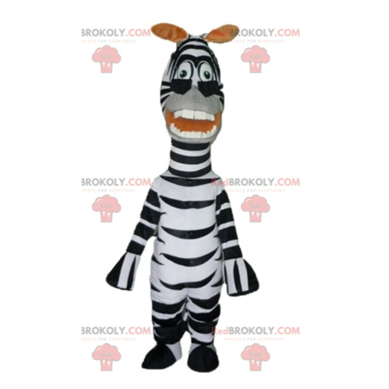 Madagascar Zebra