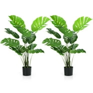 6 ft Faux Moringa Oleifera Tree in Pot, Artificial Horse Radish Tree ...