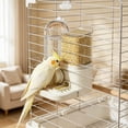 AURIGATE 2 in 1 Parrot Waterer and Feeder, Automatic Bird Water ...
