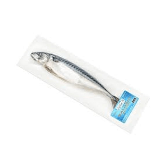 Mackerel Fish
