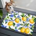 Area Rug 2x3ft Watercolor Lemon Blue Flower Leaves Area Rugs Washable ...