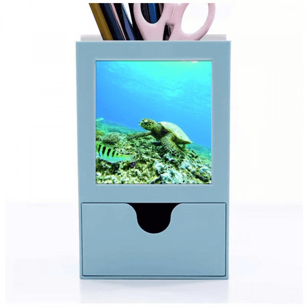 Ocean Sea Turtle Fish Science Nature Picture Desk Supplies Organizer ...