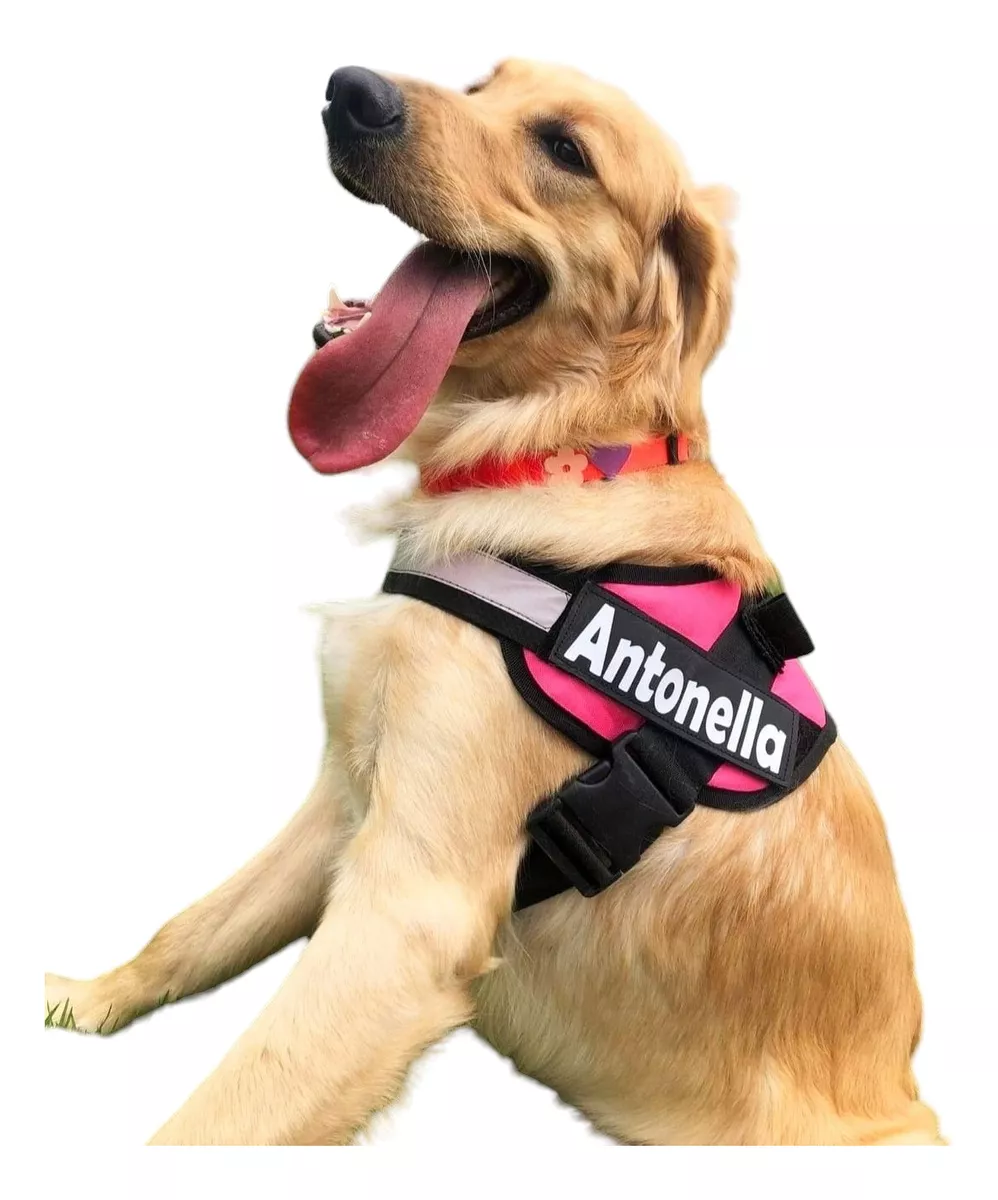 Arnes Para Perros Razas Grandes Personalizados Uso Rudo | Walmart en línea