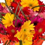 Rainbow Gerbera Bouquet with Burlap - Farm Direct Fresh Cut Flowers ...