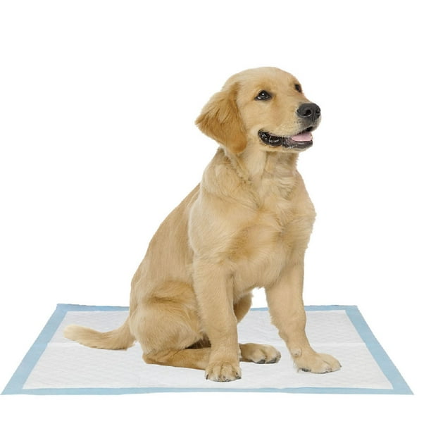 Animal Planet Puppy Pad-Dog Housebreaking ( 100 Count ) Potty Training ...