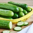 Mucci Farms Fresh Mini Cucumbers 16 oz, Crisp Healthy Snack - Walmart.com