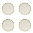 RichLink Glass Disk Transducer Discs Suitable for Opti-Myst Electric ...
