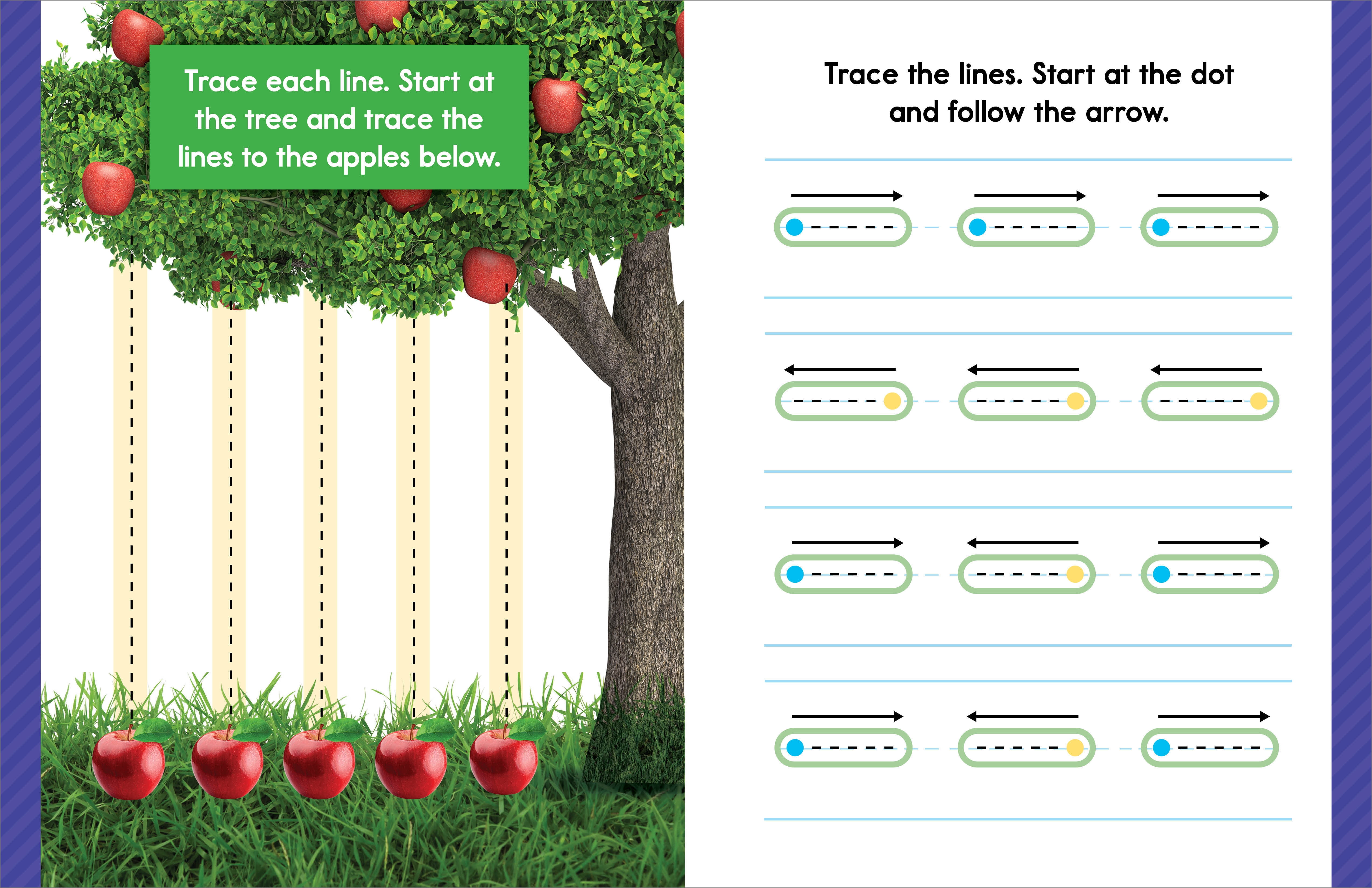 Buy My First Preschool Skills Workbooks: My First Preschool Pre ...