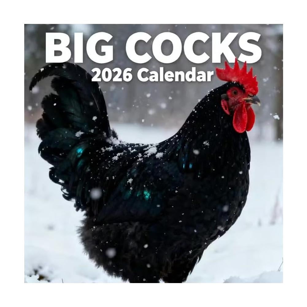 2026 Fun Rooster Calendar – Humorous Desk Calendar with Monthly View ...
