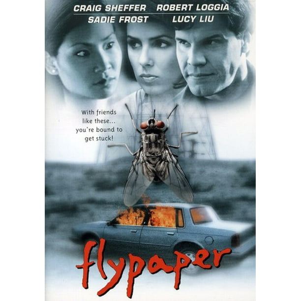 Flypaper (DVD) - Walmart.com