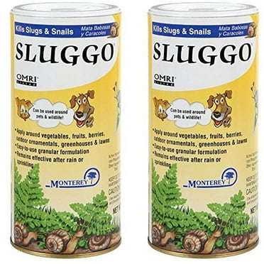 Touch-n-Foam 4001012506 Sealant Mouse Blocker, 12 oz 2 Pack - Walmart.com