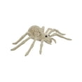 Official Crazybonez Faux Rat Skeleton - Walmart.com