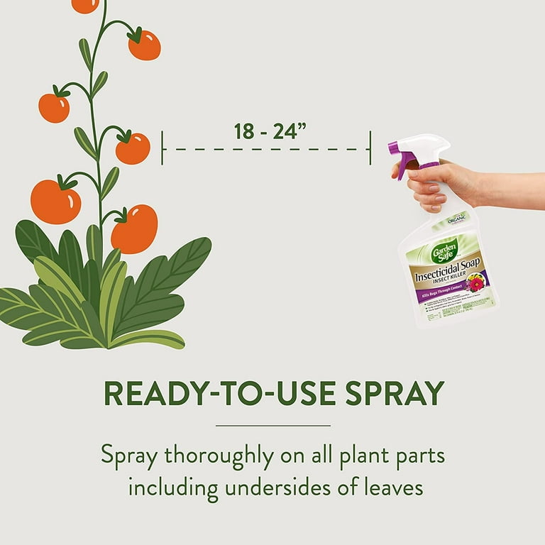 Garden Safe Insecticidal Soap Fasci Garden