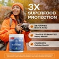 Vimergy, Wild Blueberry Supplement Powder, 62 Servings, USDA Organic ...