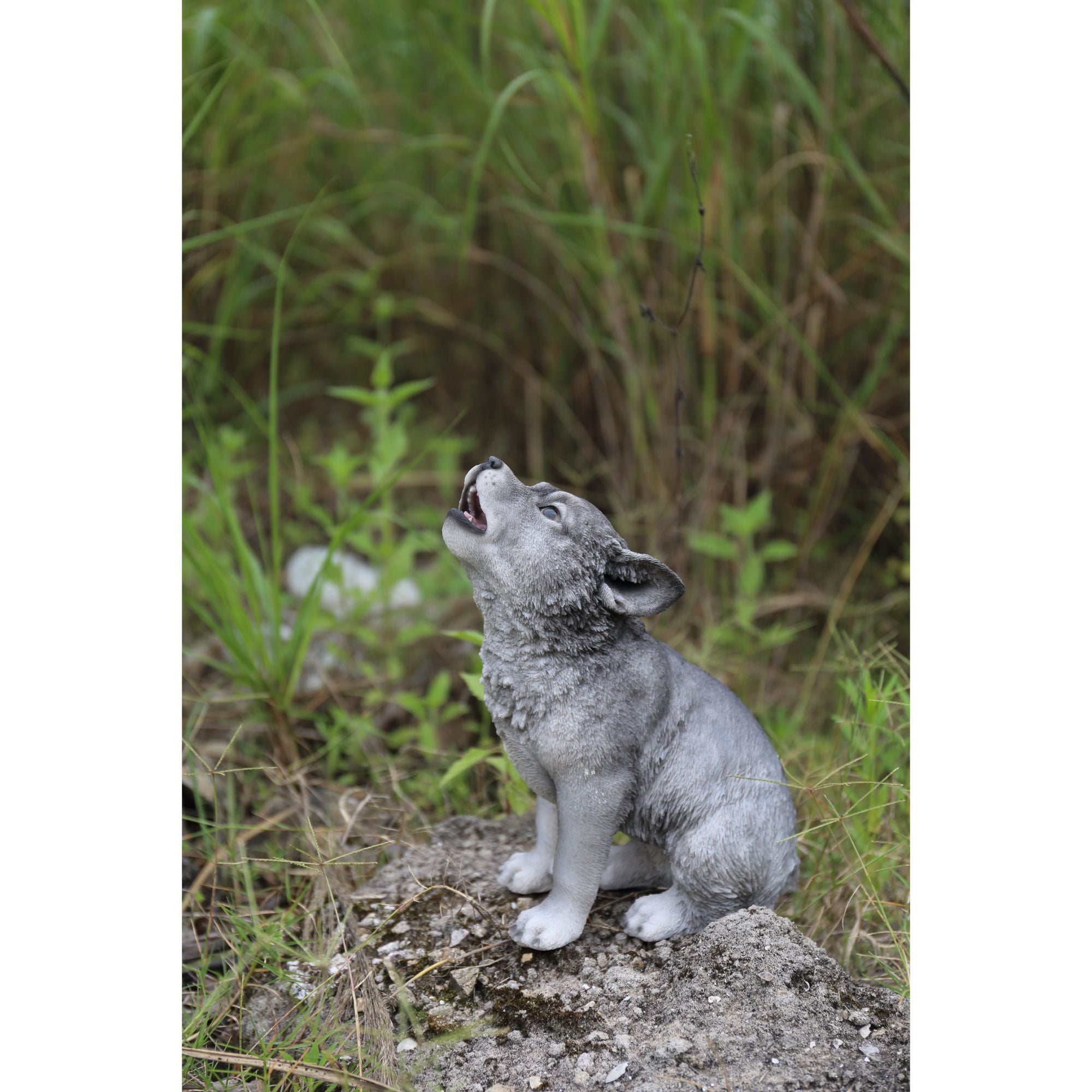 Grey Wolf Pup Howling