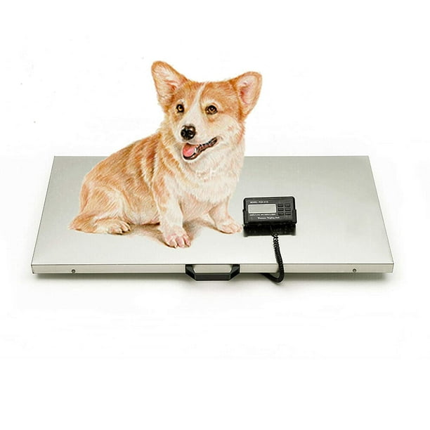 Miumaeov Digital Livestock Scale Pet Vet Scale Stainless Steel Platform ...