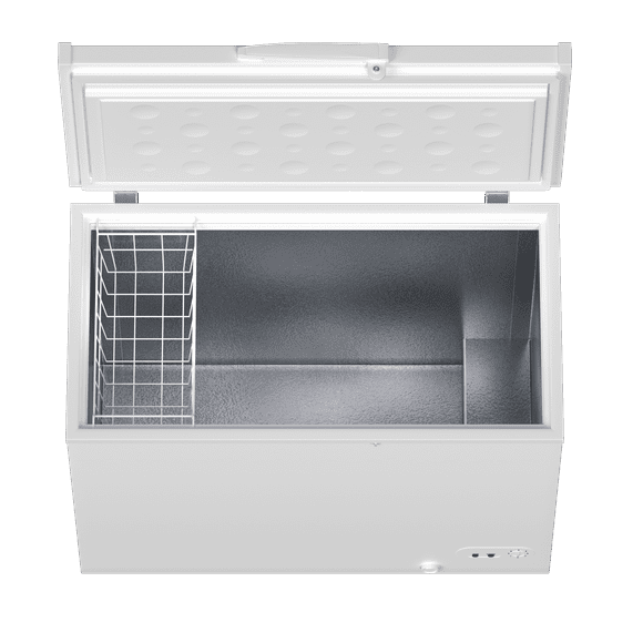 10 Cu Ft Deep Freeze