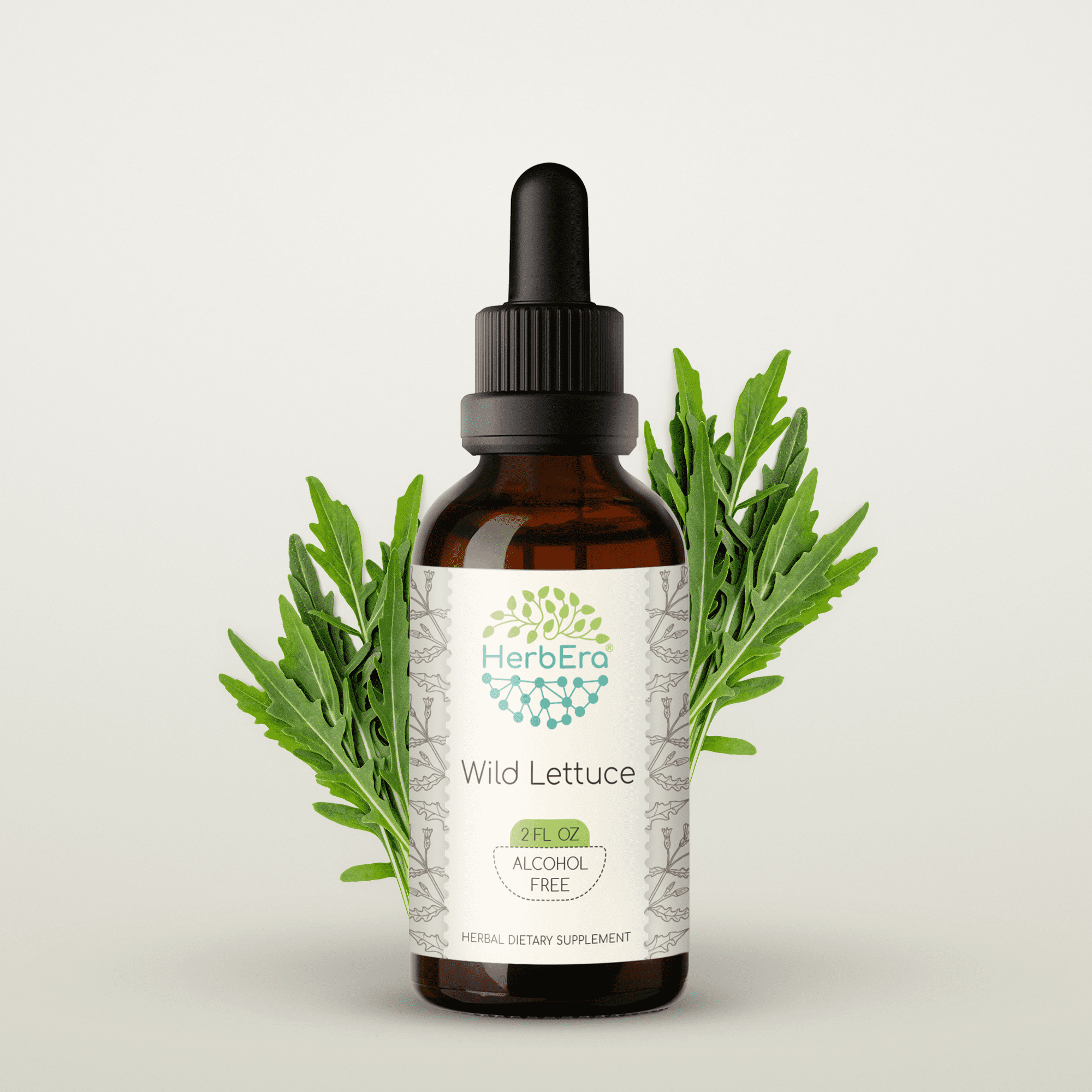 Wild Lettuce Alcohol-FREE Herbal Extract Tincture, Super-Concentrated ...