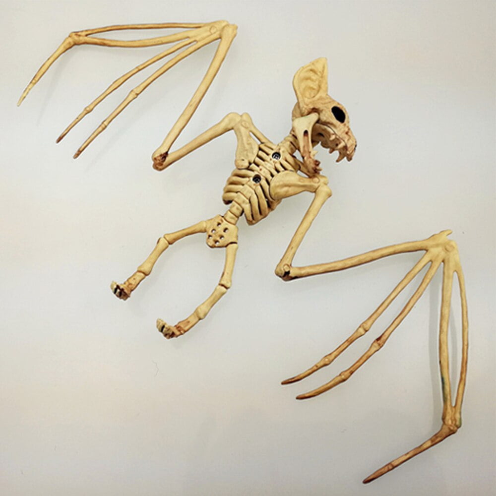 Halloween Skeleton Animal Bat Bones Halloween Decoration Graveyard ...