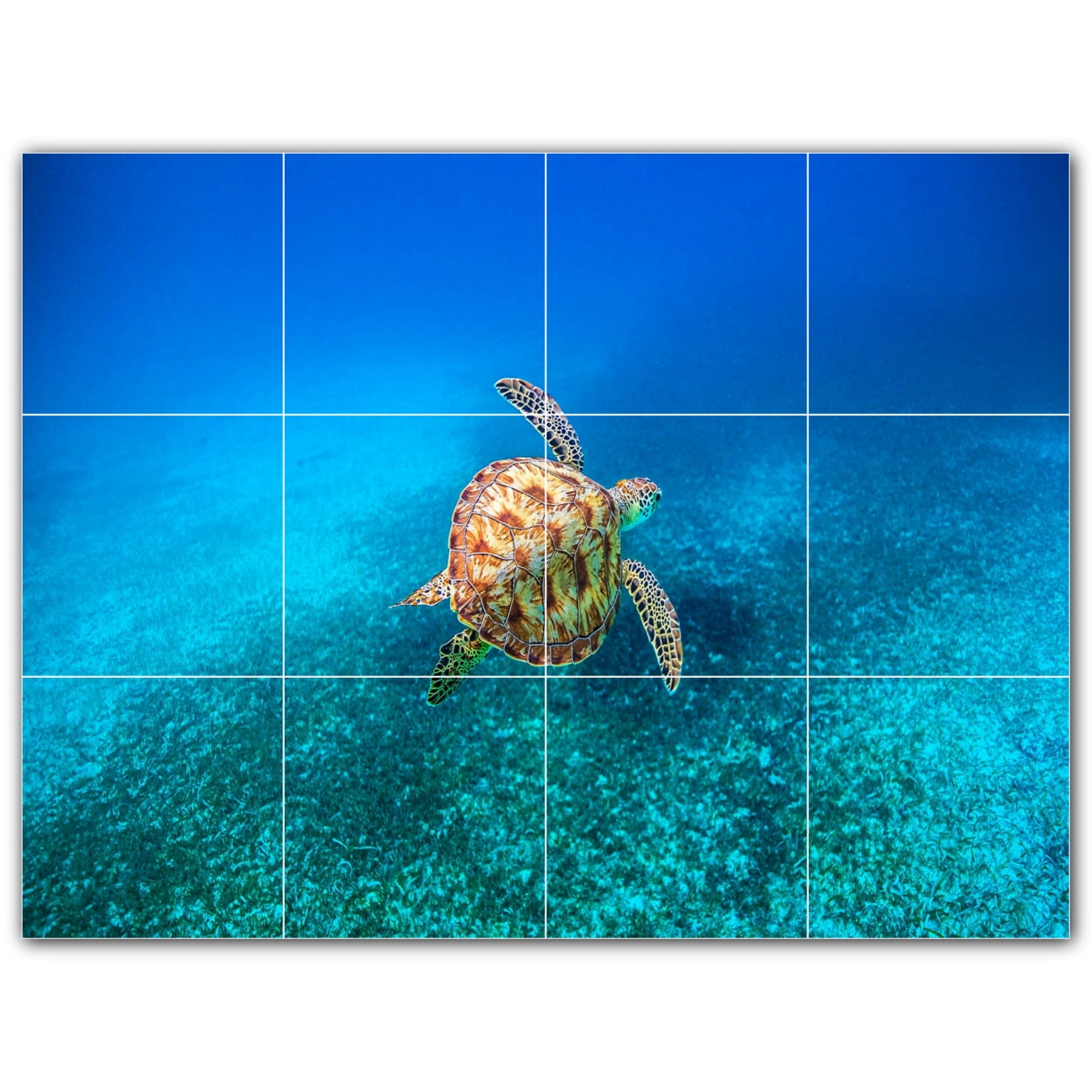 Picture-Tiles.com: Turtle Ceramic Tile Wall Mural WAL501081-43M. 24"W x ...